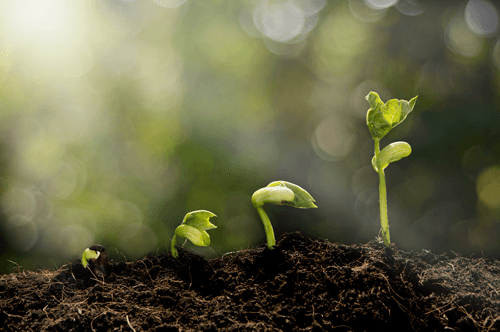 Is There More? - Bringing you stories inspired by God's Eternal Son ...